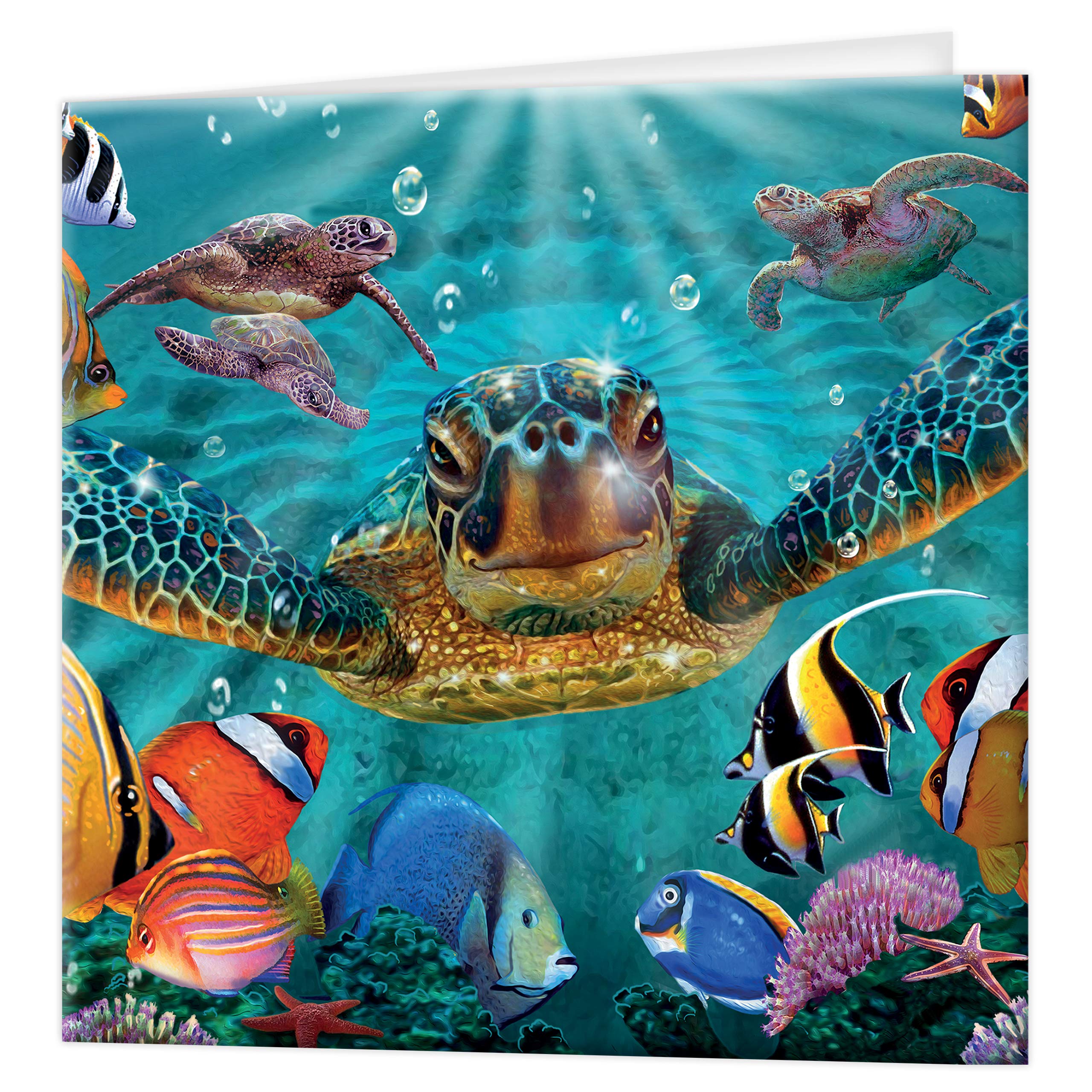 3D LiveLife Greeting Card - Tiny Bubbles from Deluxebase. Colourful Sea Turtle Lenticular 3D Card for any occasion and age. Original artwork licensed from renowned artist, Steve Sundram