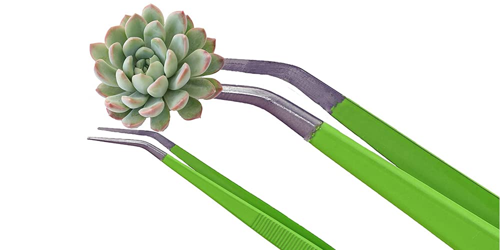 Tweezers For Succulents Duo