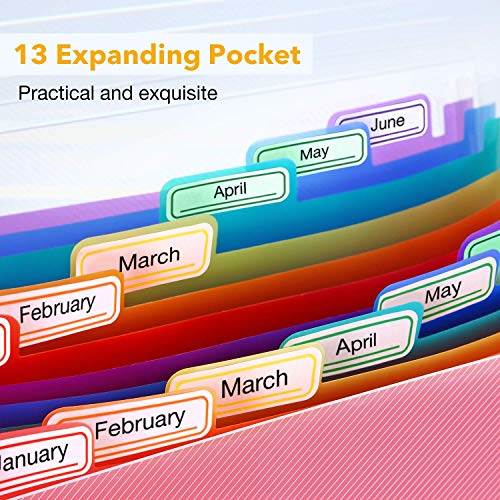 2 Pack 13 Pockets Accordion File Organizer, A6 Plastic Coupon Organizer Wallet Mini Expanding File Folder for Cards, Coupons, Receipt, Tax Item (2 Packs)