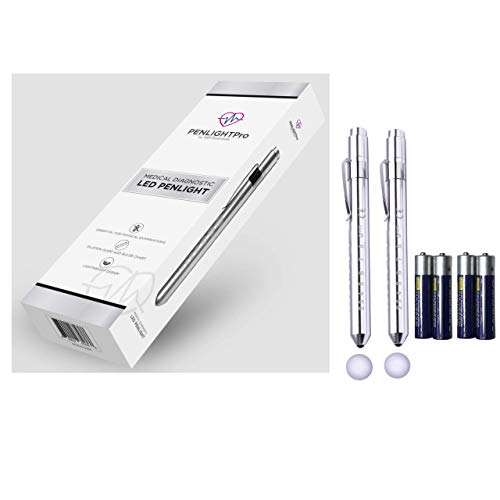 Pen Lights (Silver/Silver)
