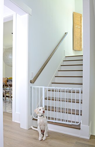 Cardinal Pet Gates Stairway Special Pet Gate, Black, SS-30