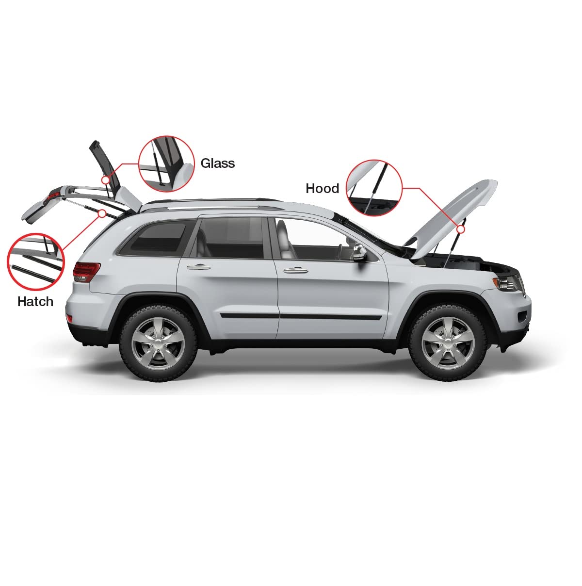 2Pcs 21.93 In Rear Back Lift Supports Compatible With FORD 2001-2007 ESCAPE liftgate tailgate Hatch trunk Struts 01 02 03 04 05 06 07 2001 2002 2003 2004 2005 2006 2007