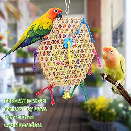 AK KYC Bird Parrot Toys,2 Pack Bird Hanging Foraging Shredder Toys for Small Medium Small Bird Conure Cockatiel Parrotlet Lovebird Budgie