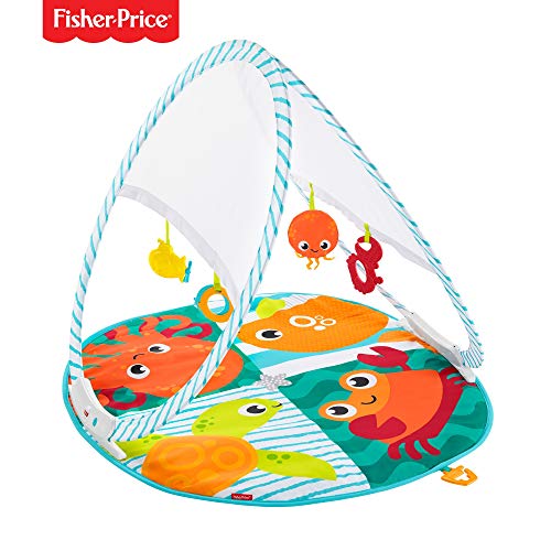 Fisher-Price Fold & Go Portable Gym