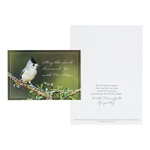 DaySpring - Sympathy - Comforting Thoughts - 12 Boxed Cards, KJV (60934),Multi