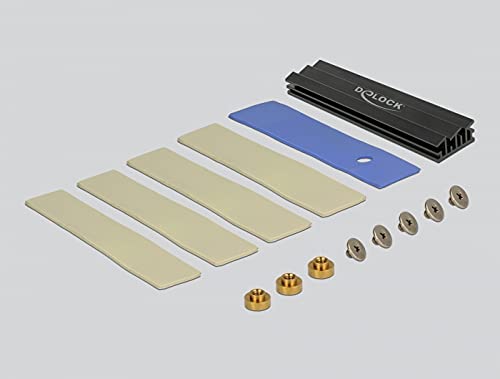 Adap Delock PCI-E Karte Memory Controller
