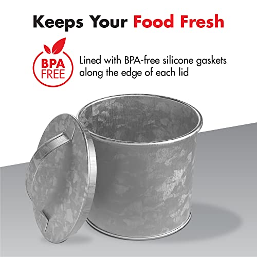 Amici Home Newport Galvanized Metal Canister | Dry Food Storage Container | Airtight Lid | 30 Ounce Capacity | Farmhouse Décor | Rustic Metal Canister for Kitchen Countertop (Silver)