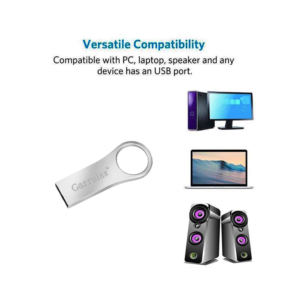 GARRULAX USB Flash Drive, 8GB / 16GB / 32GB / 64GB USB 2.0 Metal USB Memory Stick Date Storage Pendrive Thumb Drives (16GB, Silver)