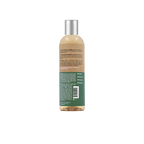 Dr. Miracle's Strong & Healthy Non Stripping Detox Shampoo (3 Pack). Contains Aloe Vera, Honey and Coconut Water.
