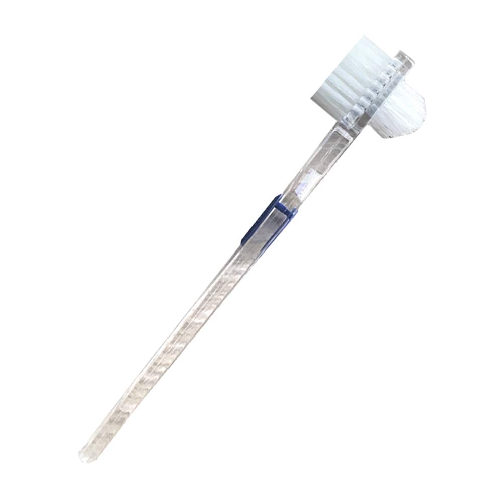 Brush Transparent Brush False Cleaning Brush Double-Sided Toothbrush Teeth Cleaning Tool
