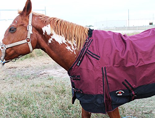 CHALLENGER 72" 1200D Turnout Rain Horse Sheet Light Winter Blanket Gusset 355