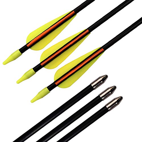 28'' Fiberglass Arrows Archery Target Arrow Practice Shooting Practice Target for Professional Youth Archery Recurve Bow Shooter(Pack of 12)