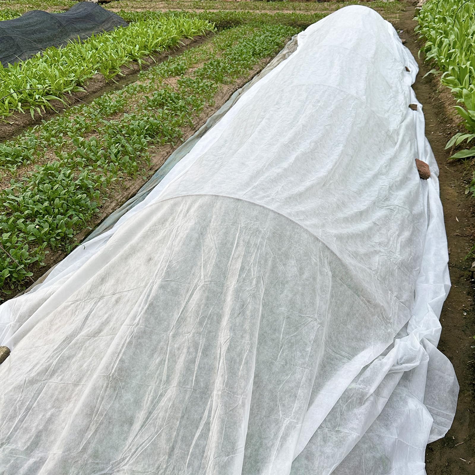 2PCS Plant Covers Freeze Protection-10x33FT 1.05oz/yd², Anti Sleet Freeze Cloth Vegetables Cover,Resistant Frost Floating Blankets Fabric Protect Outdoor Flowers Seedling Breeding from Wind Snow Cold