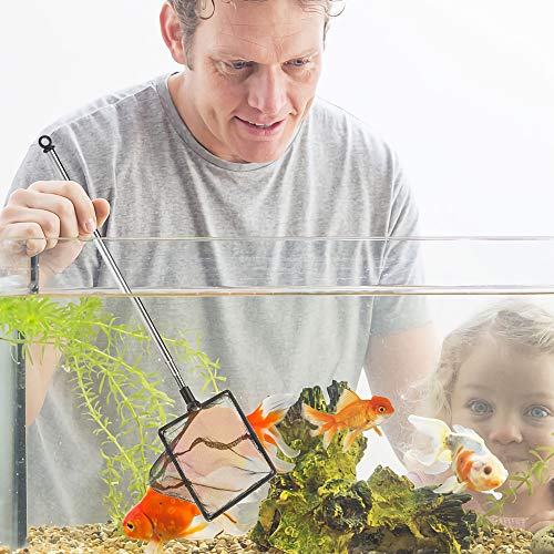 DaToo 5 Inch Aquarium Fish Net for Betta Fish Tank Nano Nylon Net with Extendable Handle 10-25 Inch, 1 Yr Warranty