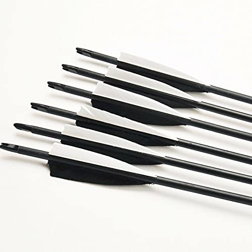 33" Archery Carbon Arrows W/Real Turkey Feather SP500 F Recurve Bow Hunting (12Pcs)