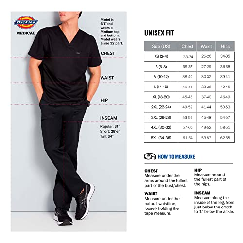 Dickies Men & Women Top and Pant Scrubs Set Plus Size DKP520C, 3XL, Ciel