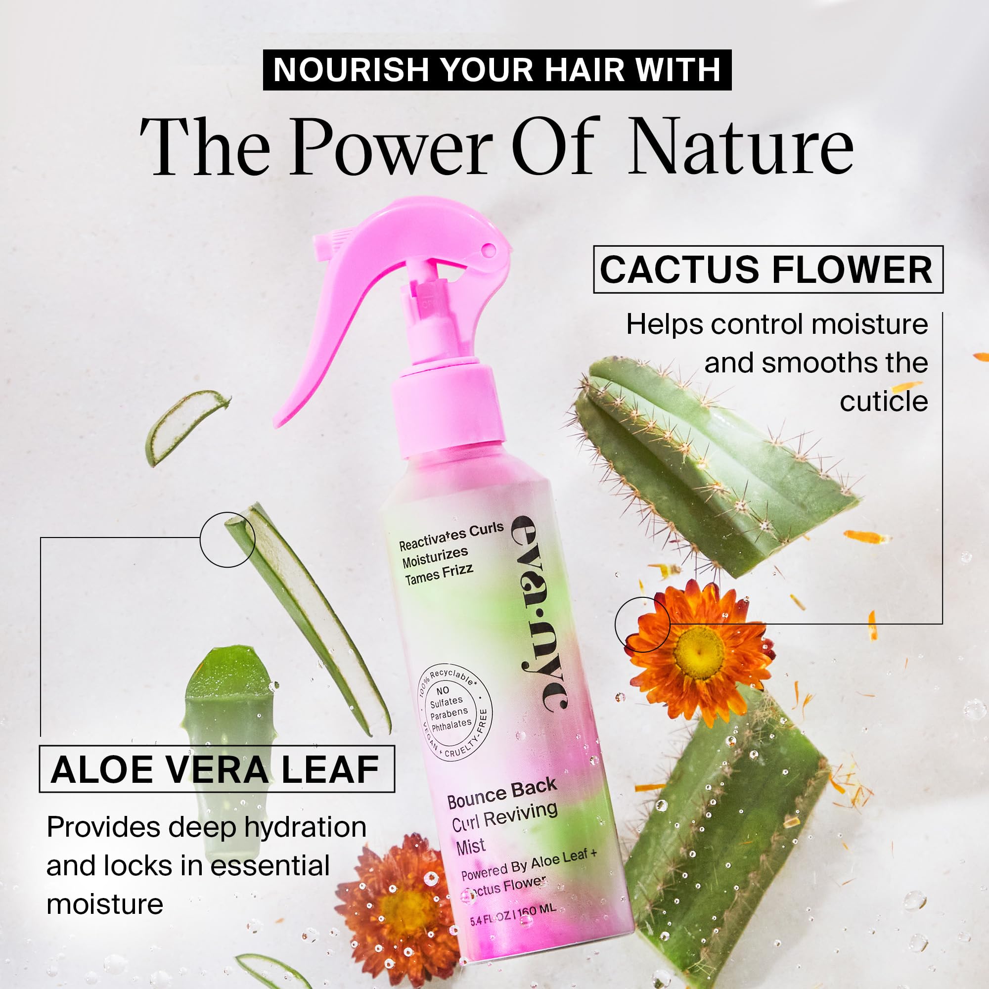 Eva NYC Bounce Back Curl Reviving Hair Mist, Hydrating Refresher with Aloe, GMO-Free Curly Hair Texture Spray, 5.4 fl oz