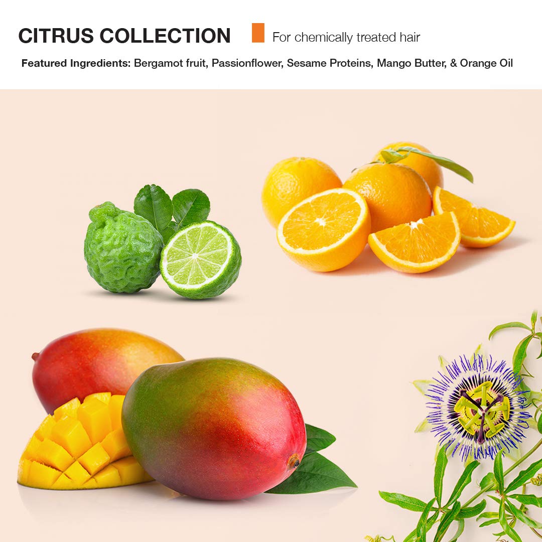 MOP - Replenishing Conditioner for Chemically Treated Hair- Citrus, 8.45 fl oz