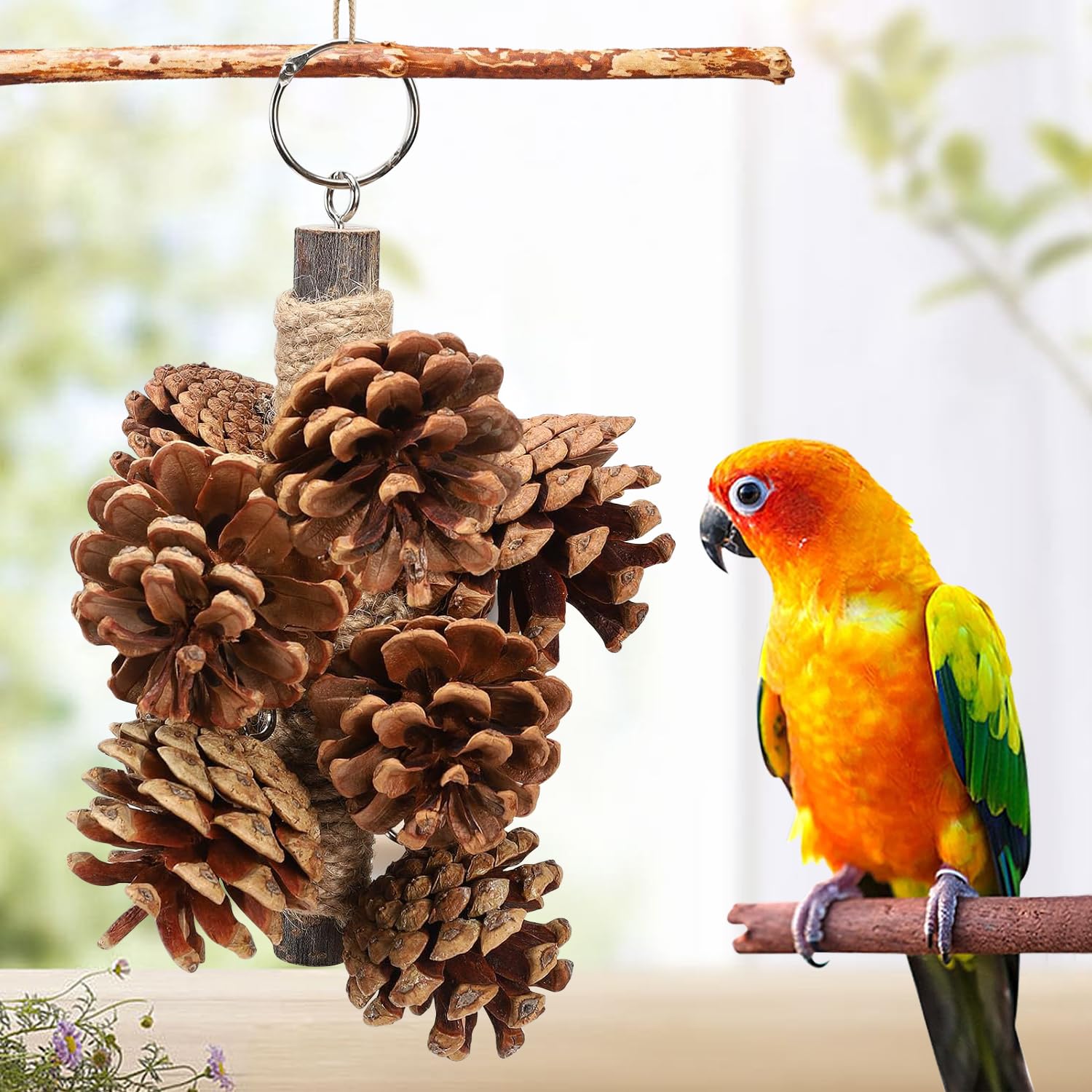 Acostop Bird Toys Parrot Toys - Bird Chewing Toy with Natural Pine Cones for Small and Medium-Sized Parakeets Cockatiels Conures Cockatoos African Grey Amazon Parrots Birdlovers Gifts