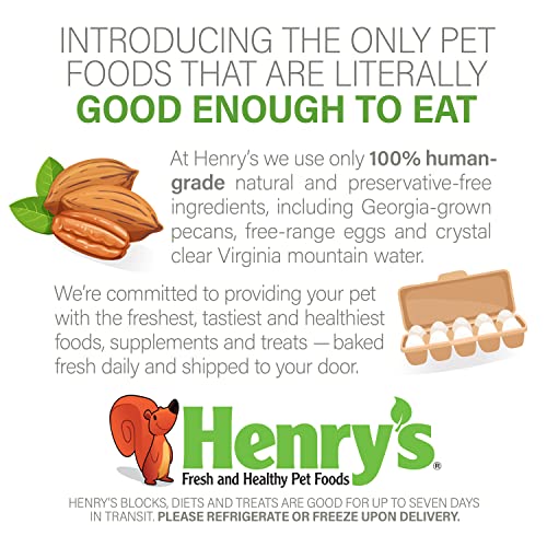 Henry's Picky Blocks - Nutritionally Complete Rodent Blocks β Food for Squirrels, Flying Squirrels, and Chipmunks, 11 Ounces (2-Pack)