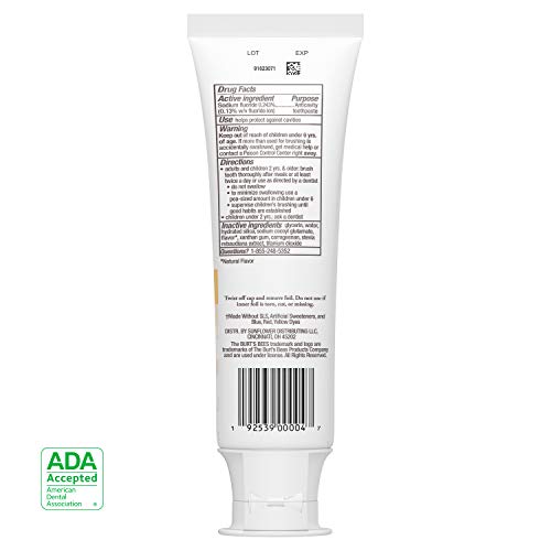 Burt's Bees Kids Toothpaste, Fluoride toothpaste, Fruit Fusion, 4.2 oz