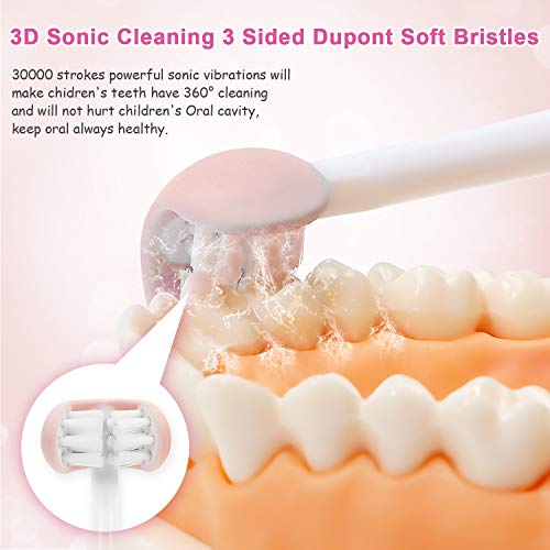 LEYUYO Electric Toothbrush Kids Sonic Cleaning 31000 Strokes Rechargeable Tooth Brush with Timer, 2 Bristles, 3 Modes, Pink
