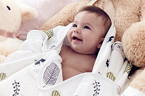 Clover & Sage Organic Muslin Baby Toddler Blanket - 100% Hypoallergenic Cotton Bed Blankets - Cuddle Bears