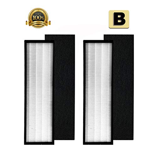 Flintar FLT4825 True HEPA Replacement Filter B, Compatible with GermGuardian Air Purifier AC4825 Series, AC4300BPTCA, AC4850PT, AC4900CA, CDAP4500BCA, Oransi Finn, 2-Pack