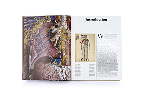 Anatomica: The Exquisite and Unsettling Art of Human Anatomy