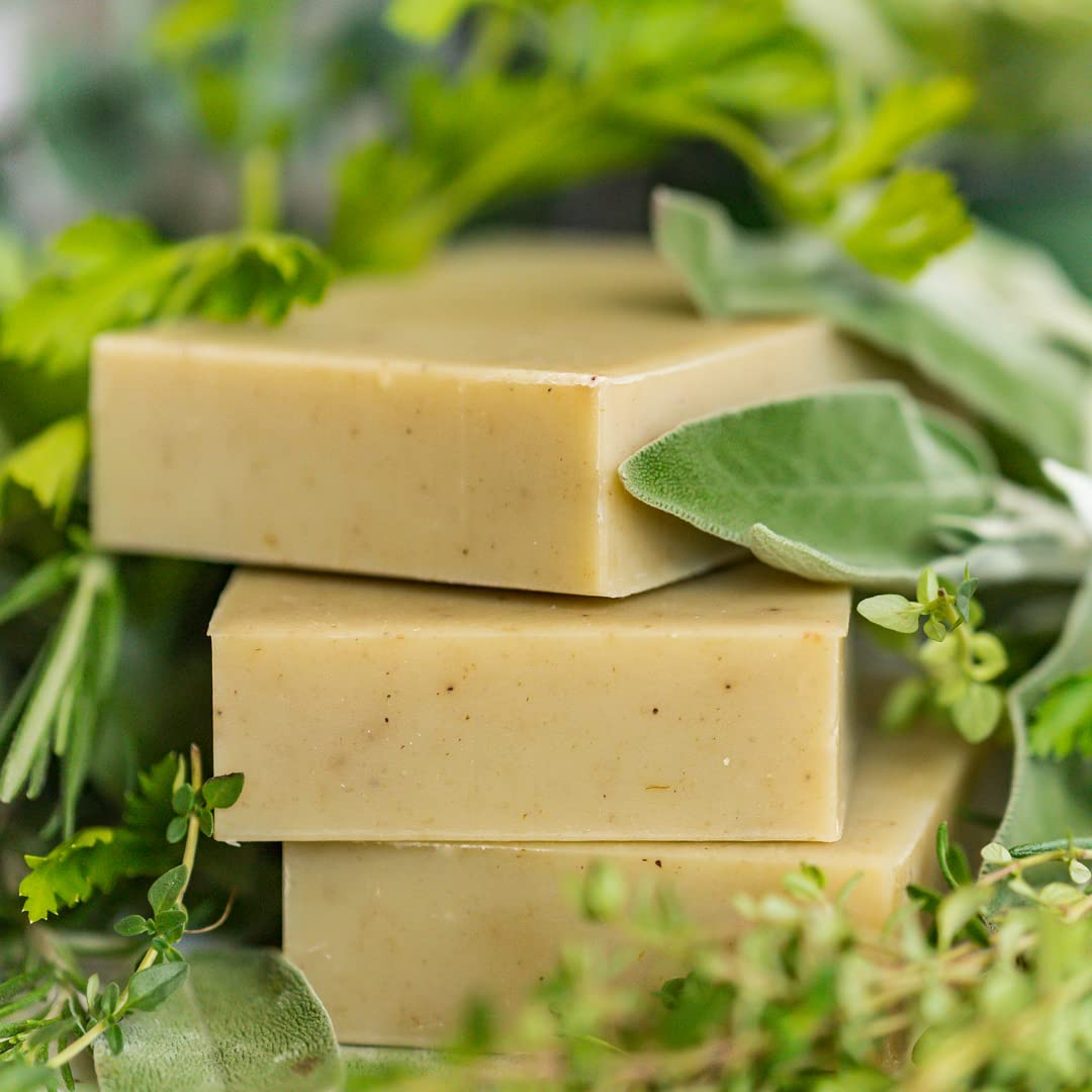 Chagrin Valley Soap & Salve Organic Natural Shampoo Bar - Herb Garden (1 Bar)