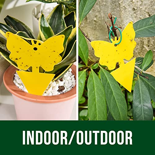 Garsum Gant Traps for Indoors,Fruit Fly Bugs Trap, Yellow Sticky Fungus Knit Killer for Houseplant,Mosquito, Flying Insert, White Flies,18 Pack