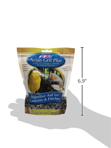 Brown's Avian Grit Plus Digestive Aid for Finches and Canaries with Licorice Scent, 20-Ounce