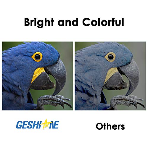 GESHINE 245 XL Ink Cartridge Replacement for Canon PG-245XL High Yield Used for MX492 TS3120 MG2522 MX490 MG2920 MG2922 MG2520 MG3020 TS302 Printer (2 Black)