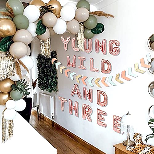 JeVenis Young Wild and Three Balloon Young Wild and Three Banner Young Wild and Three Decorations for Girl Third Birthday Decorations 3 Year Old Birthday Decor 3rd Birthday Balloon