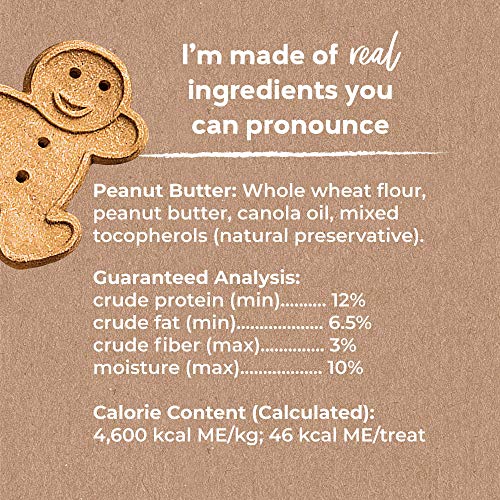 Buddy Biscuits Oven Baked Treats with Peanut Butter, Whole Grain - 16 oz. - Single Box (12500_Single)