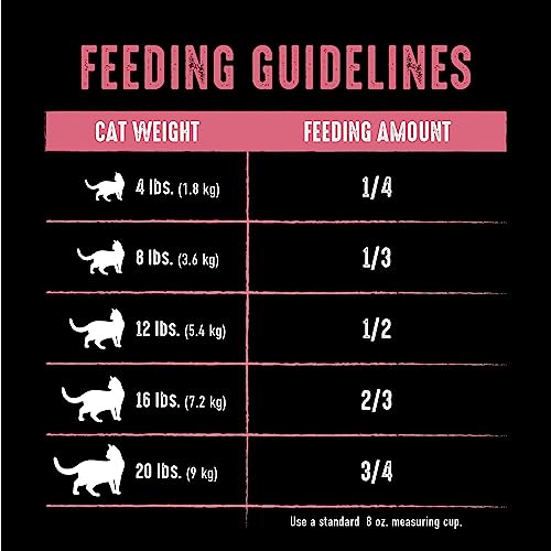 CRAVE Grain Free Indoor Adult High Protein Natural Dry Cat Food with Protein from Chicken & Salmon, 10 lb. Bag