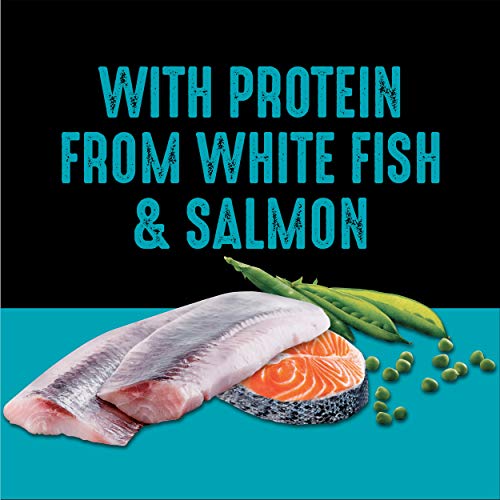 CRAVE Grain Free High Protein Adult Dry Dog Food, White Fish & Salmon, 22 lb. Bag