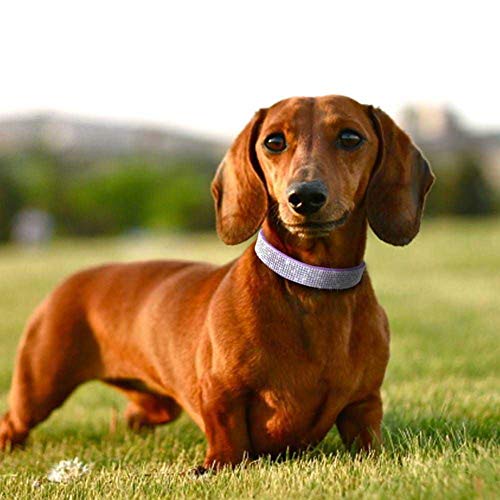 Haoyueer Rhinestone Dog Collar, Cute Dazzling Sparkling Soft Suede Leather Dog Cat Rhinestone Collar Crystal Diamond Pet Dog Puppy Collar(Pink,S)