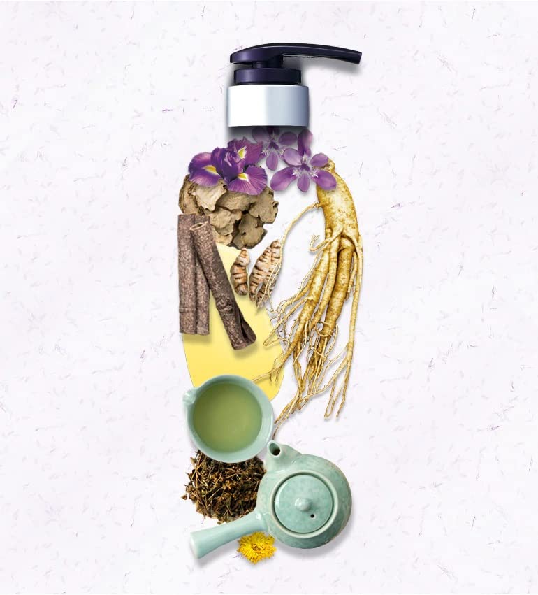 Daeng Gi Meo Ri- Jin Gi Vitalizing set[ Shampoo x2, Treatment x1], 100% Domestic Oriental Herb, Providing Moisture to Frizzy and Split Hair, Smooth and Shiny Hair