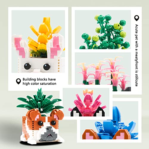 DOLBLOCK Succulent Bonsai Botanical Collection Decor Building Set Architecture Model Kit with Flower Plant Animal for Adults Creative DIY Gifts Toys