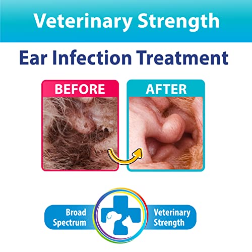 Curaseb Dog Ear Infection Treatment Solution β Soothes Itchy & Inflamed Ears β Cleans Debris and Buildup - 12oz
