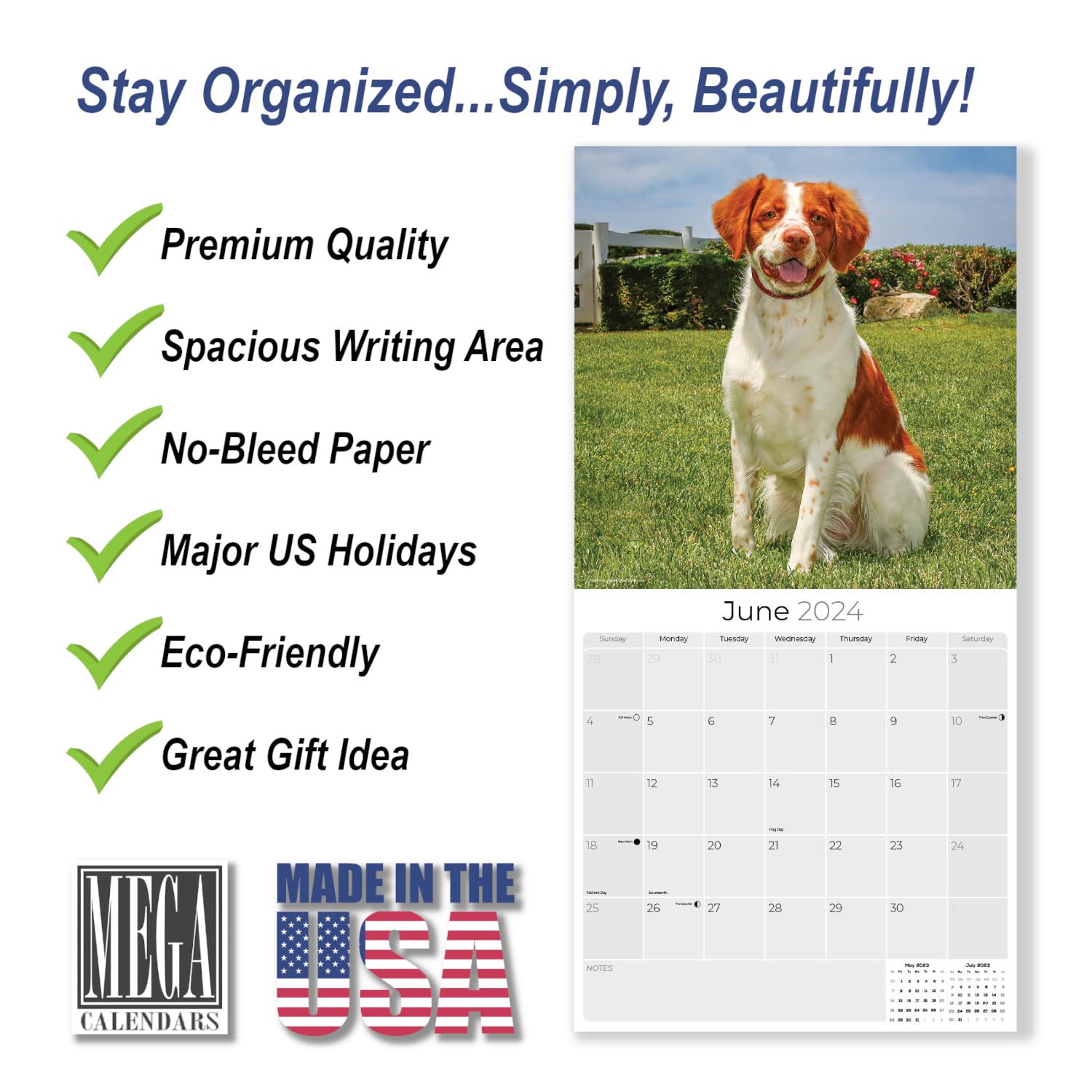2023 2024 Brittany Spaniel Calendar - Dog Breed Monthly Wall Calendar - 12 x 24 Open - Thick No-Bleed Paper - Giftable - Academic Teacher's Planner Calendar Organizing & Planning - Made in USA