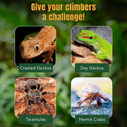 Meric Leopard & Crested Gecko Grass Mat, 4 Pack, Straw Bedding Floor Mat for Nesting Cage, Glass Tank Background Décor, Use as Peg Board in Tank or Cage to Hang Air Plants, Java Fern, Bird Toys