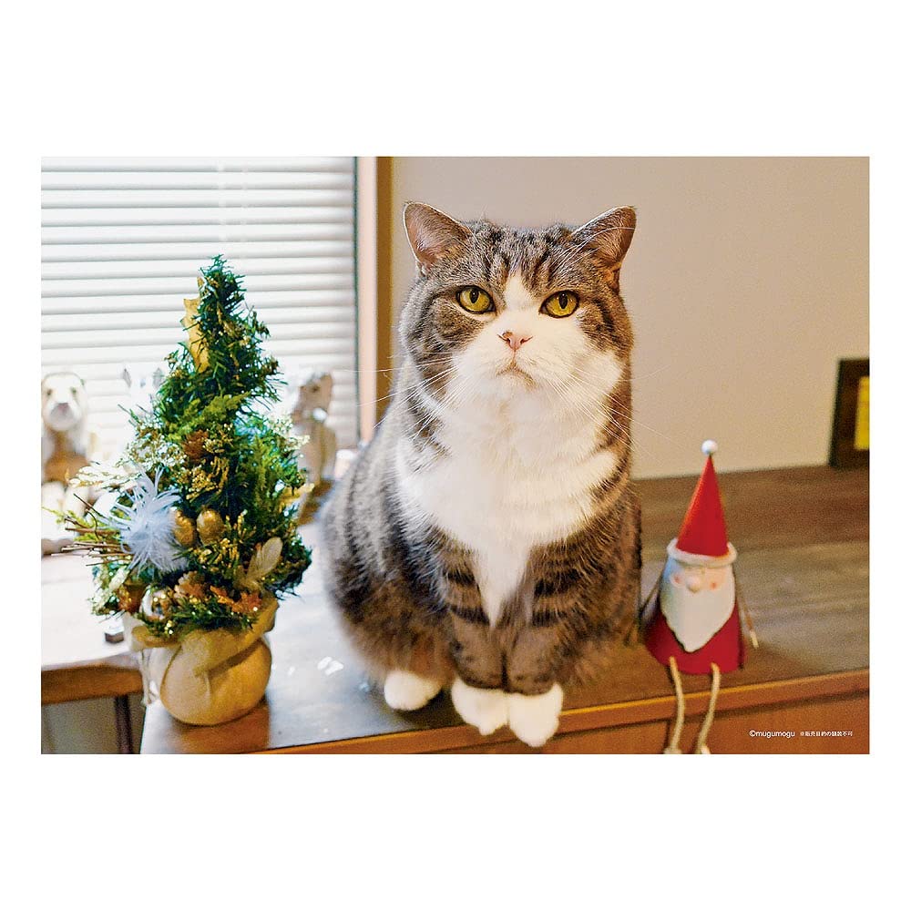 2023 Maru-chan Calendar (Tabletop) [Video Included] 1000123669, White