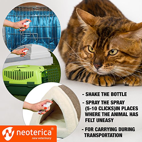 Beloved Pets Calming Pheromone Spray & Scratch Repellent for Cats - Reduce Scratching Furniture, Pee - During Travel, Fireworks, Thunder, Vet Zone - Helps to Relief Stress, Fighting, Hiding