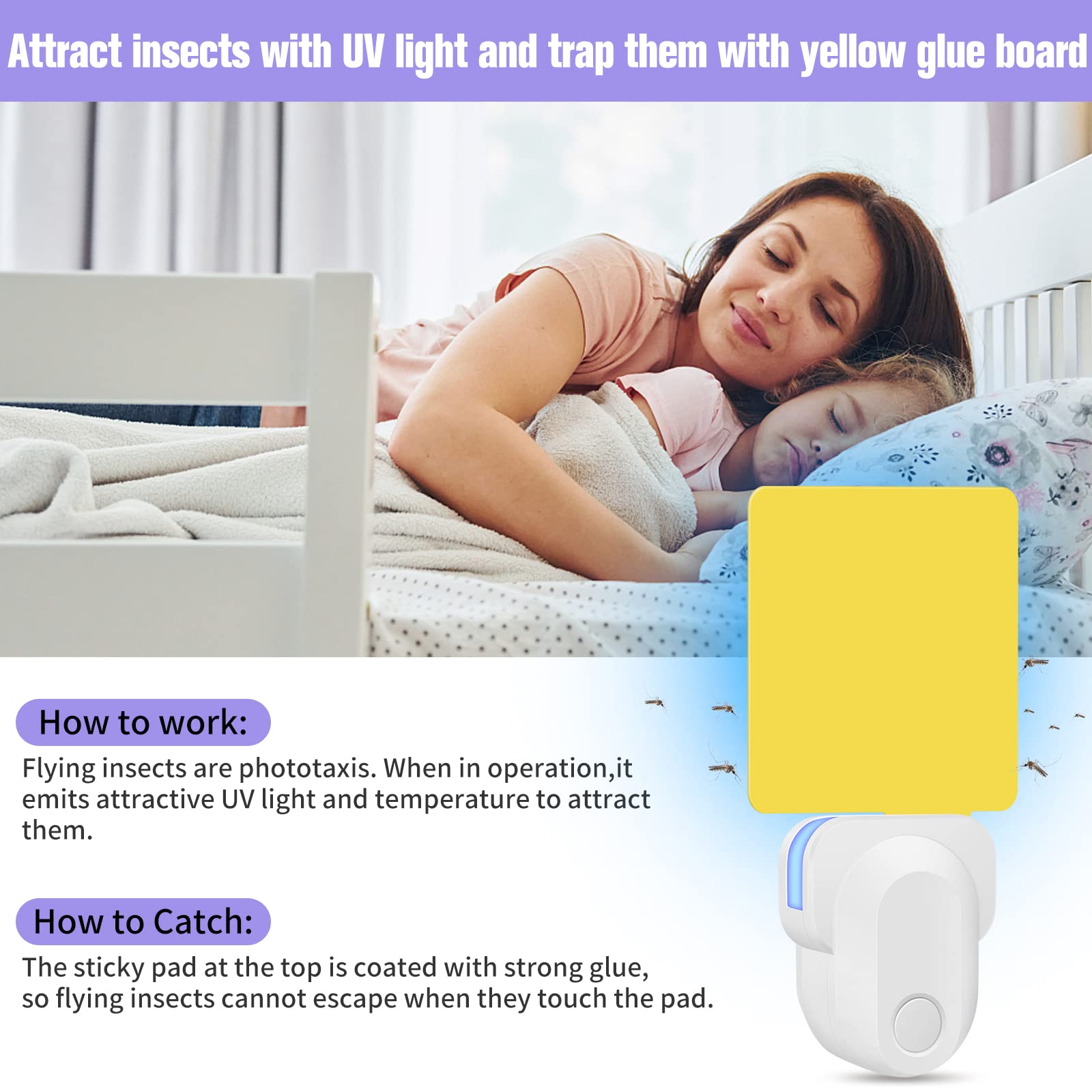 2023 Flying Insect Trap,Flying Insect Trap Indoor Plug in, Upgraded Uv Light Attractant Indoor Plug-in Night Light Fly Trap,for Catching Mosquitoes, Fruit Flies, Gnats,1 Pack with 5 Sticky Pad