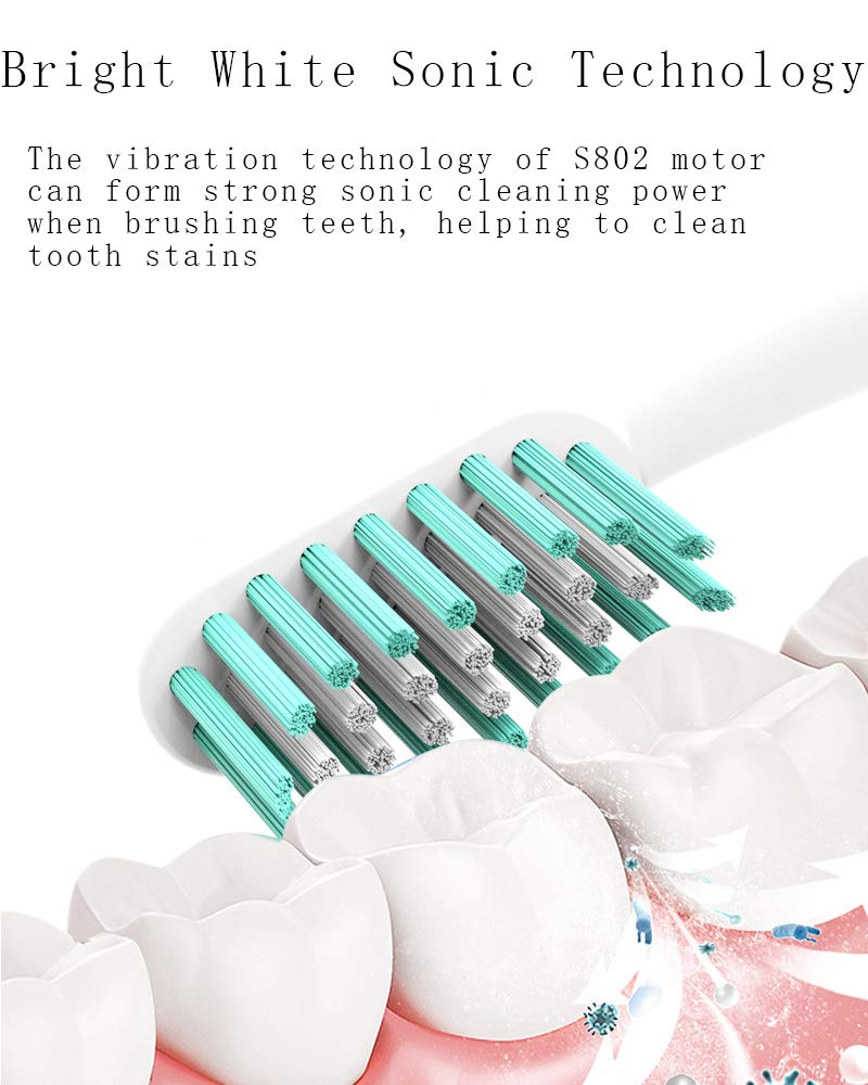 HKF HO KI HO Sonic Electric Toothbrush,USB Rechargeable Toothbrush with Minimum 40 Days Use,2 Mins Smart Timer and 5 Optional Modes,4 Brush Heads(White)
