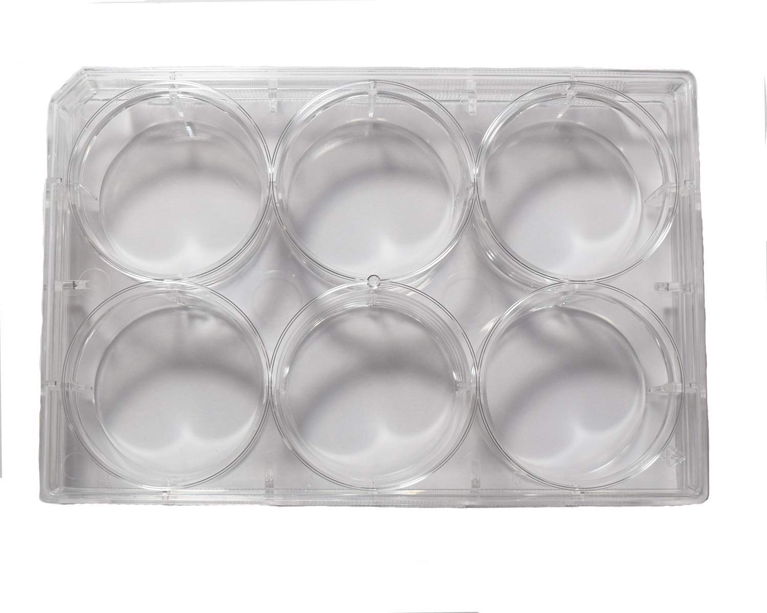 ADVANGENE 6 Well Non-Treated Sterile Flat Tissue Culture Plate with lid (50/Case)