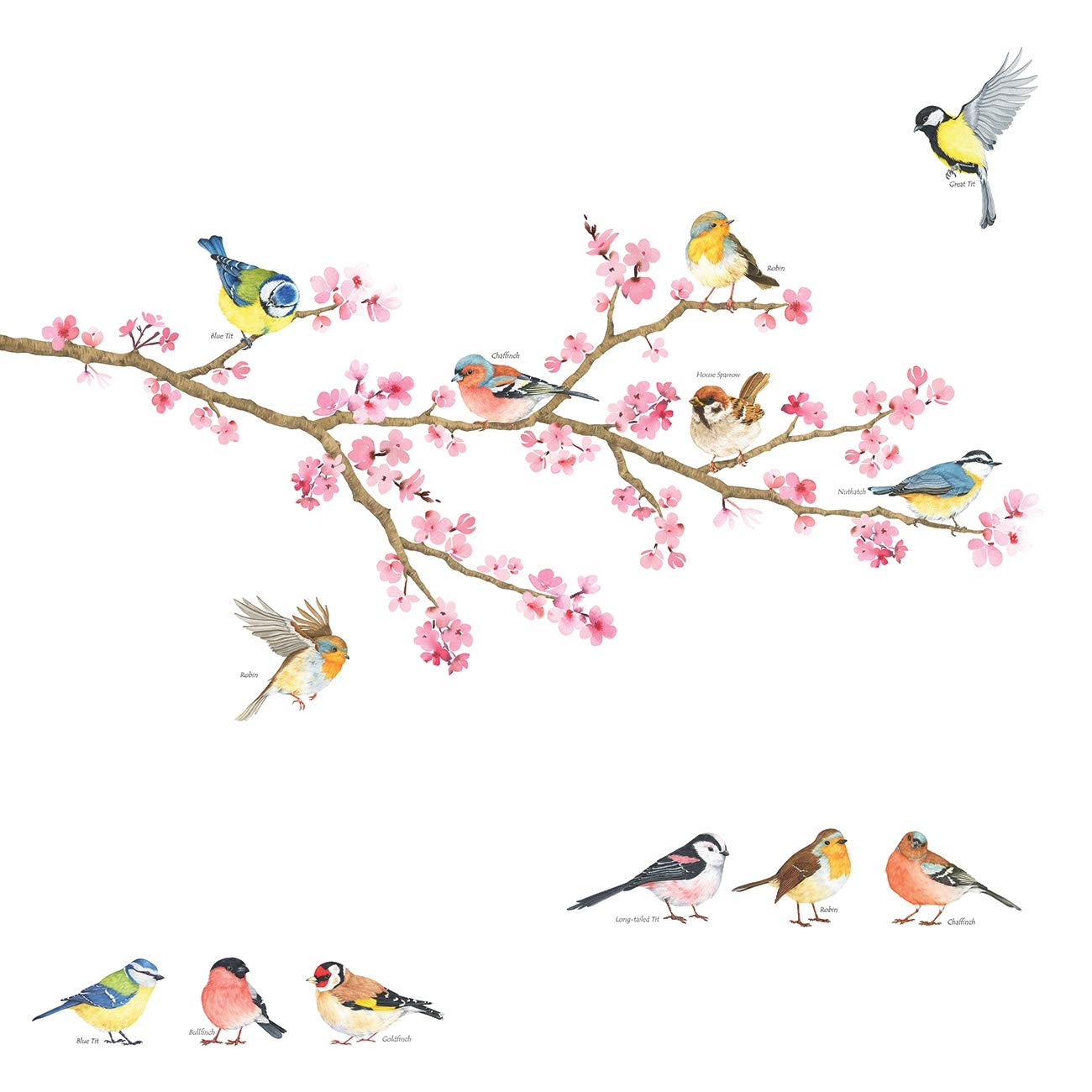 DECOWALL DWL-1904 Cherry Blossom Garden Birds Kids Wall Stickers Wall Decals Peel and Stick Removable Wall Stickers for Kids Nursery Bedroom Living Room d?cor