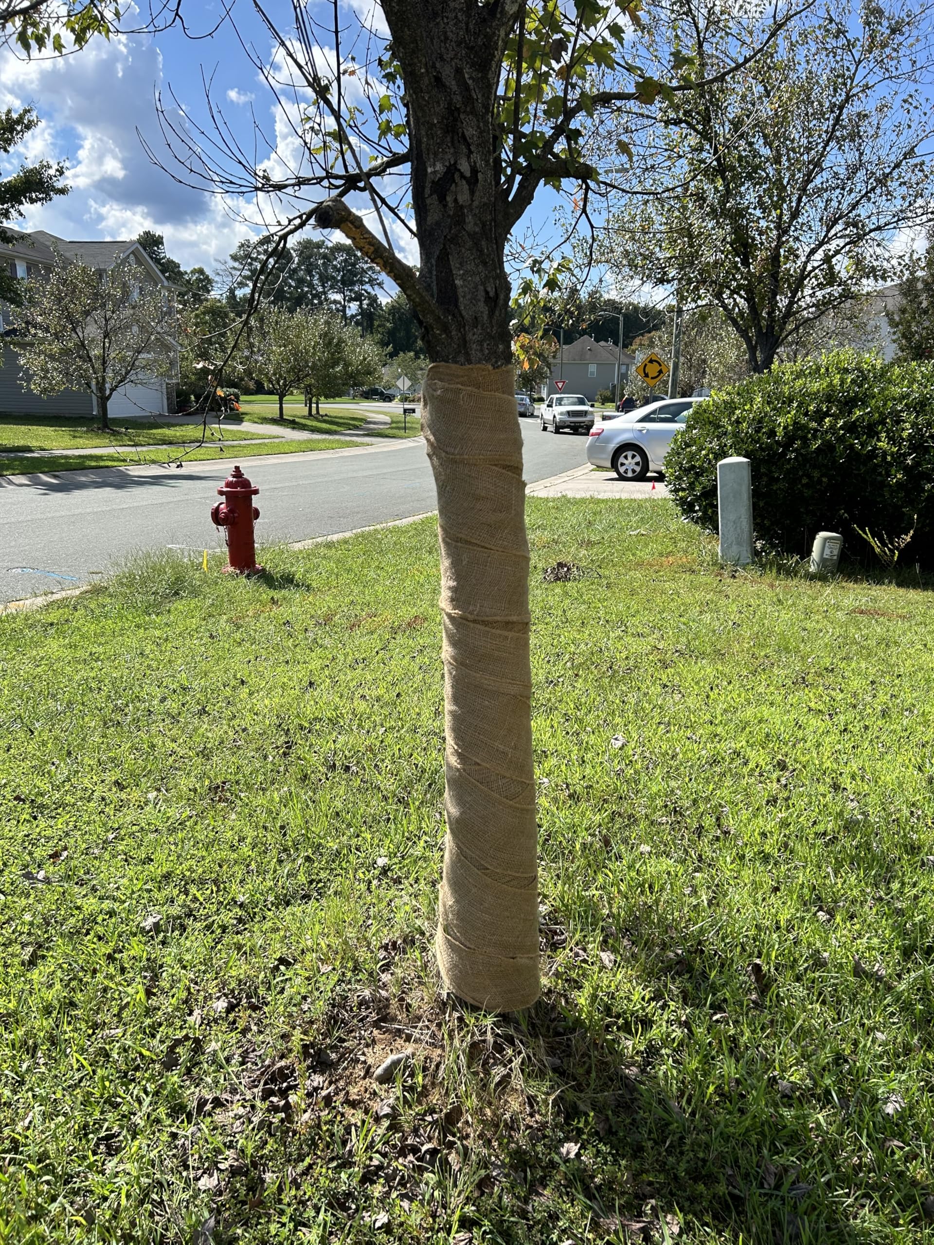 8 inch wide by 60 feet long tight weaved burlap tree plants wrap for protection ribbon | high density finished edges country style indoor outdoor table runner